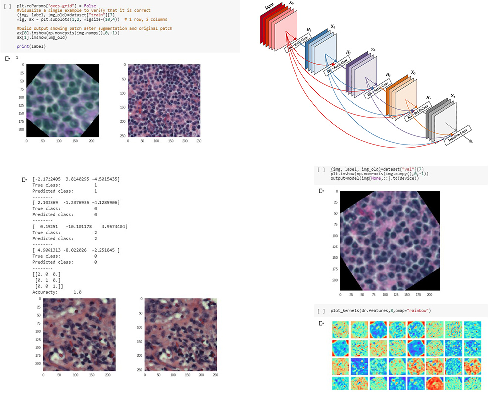 Portfolio | Engin Bozkurt